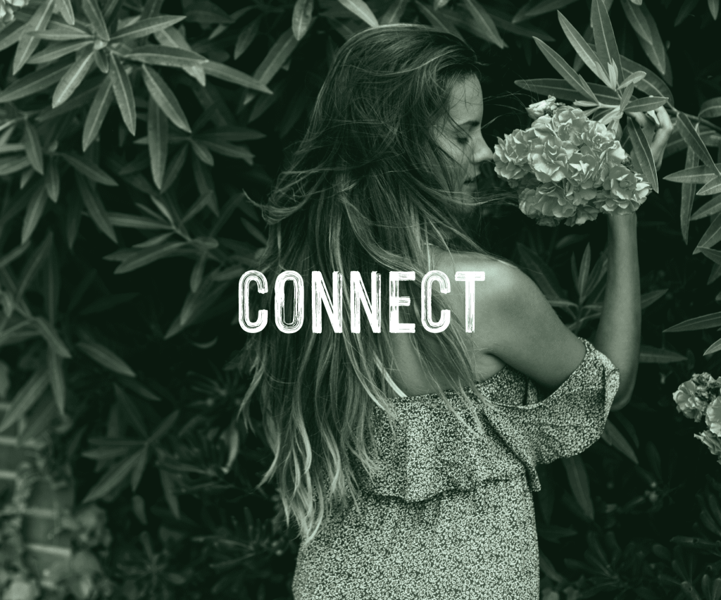 Shop Our Newly Revitalized Mall in Maui | Maui Mall Village